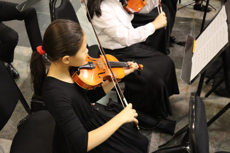 Tacoma String Symphony - Tacoma Youth Symphony Association